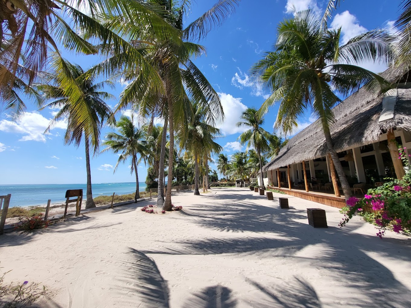 81 Palms Resort | Rote Guide